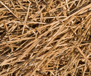 Biomass Fuel and Energy | Boiler Cleaning & Biomass Energy Conversion